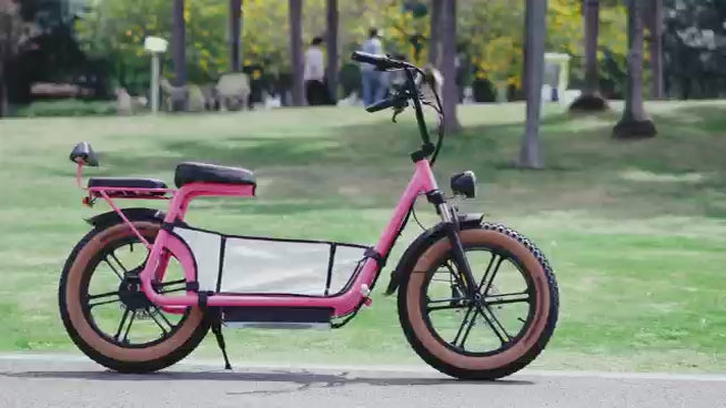 Electric Motorcycle Beachcomber Scooter with Removable pet carrier/hol ...